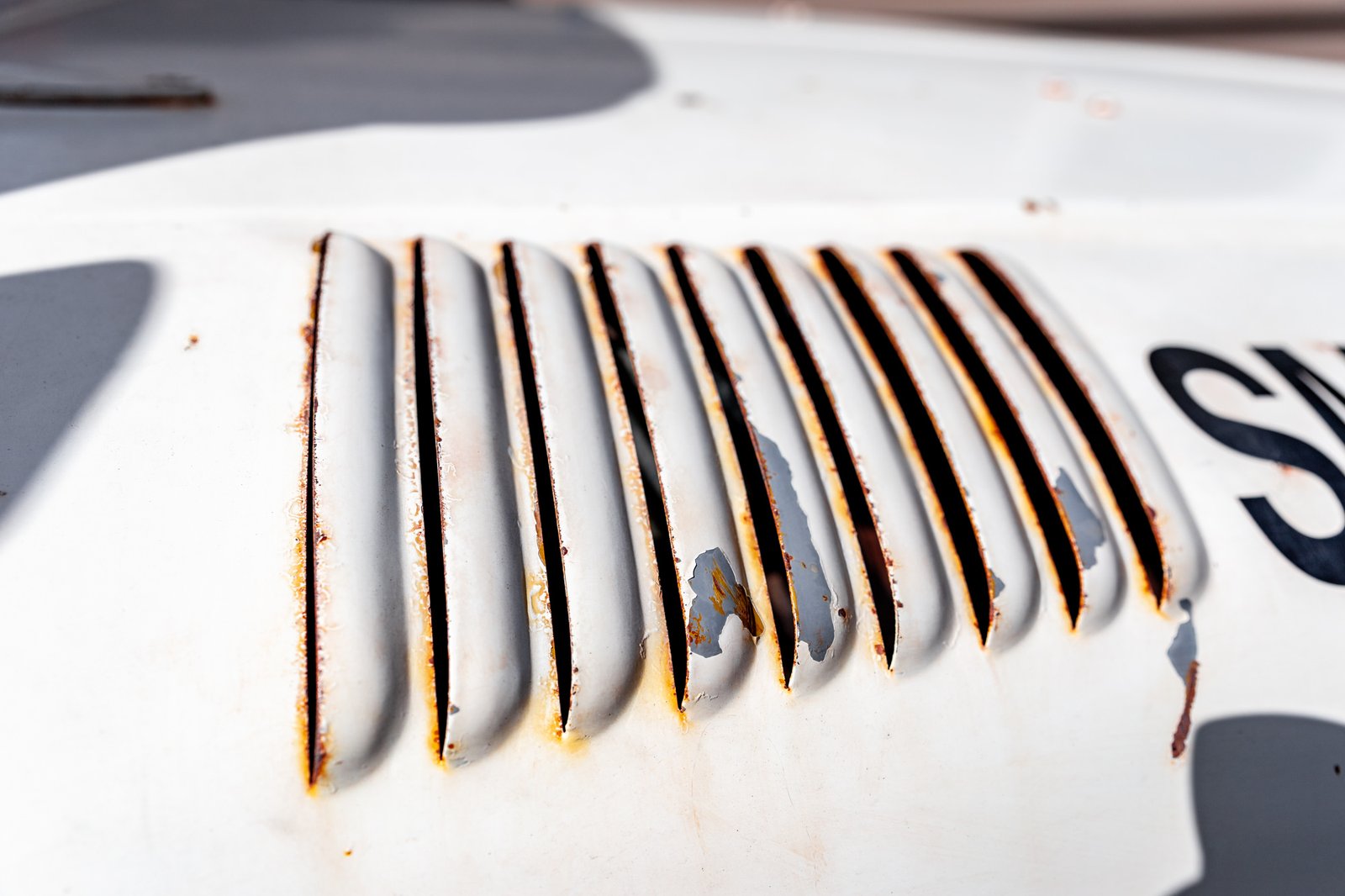 Smoke Chaser | Flightless Kiwis