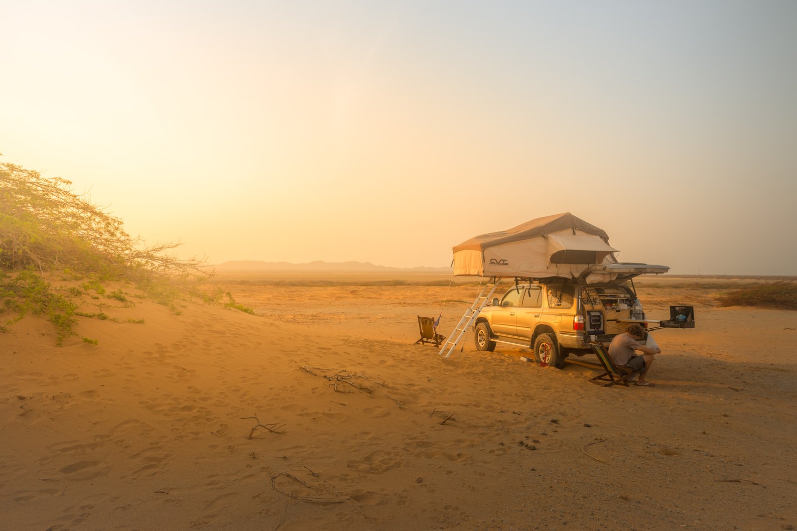 Smoke Chaser | Flightless Kiwis